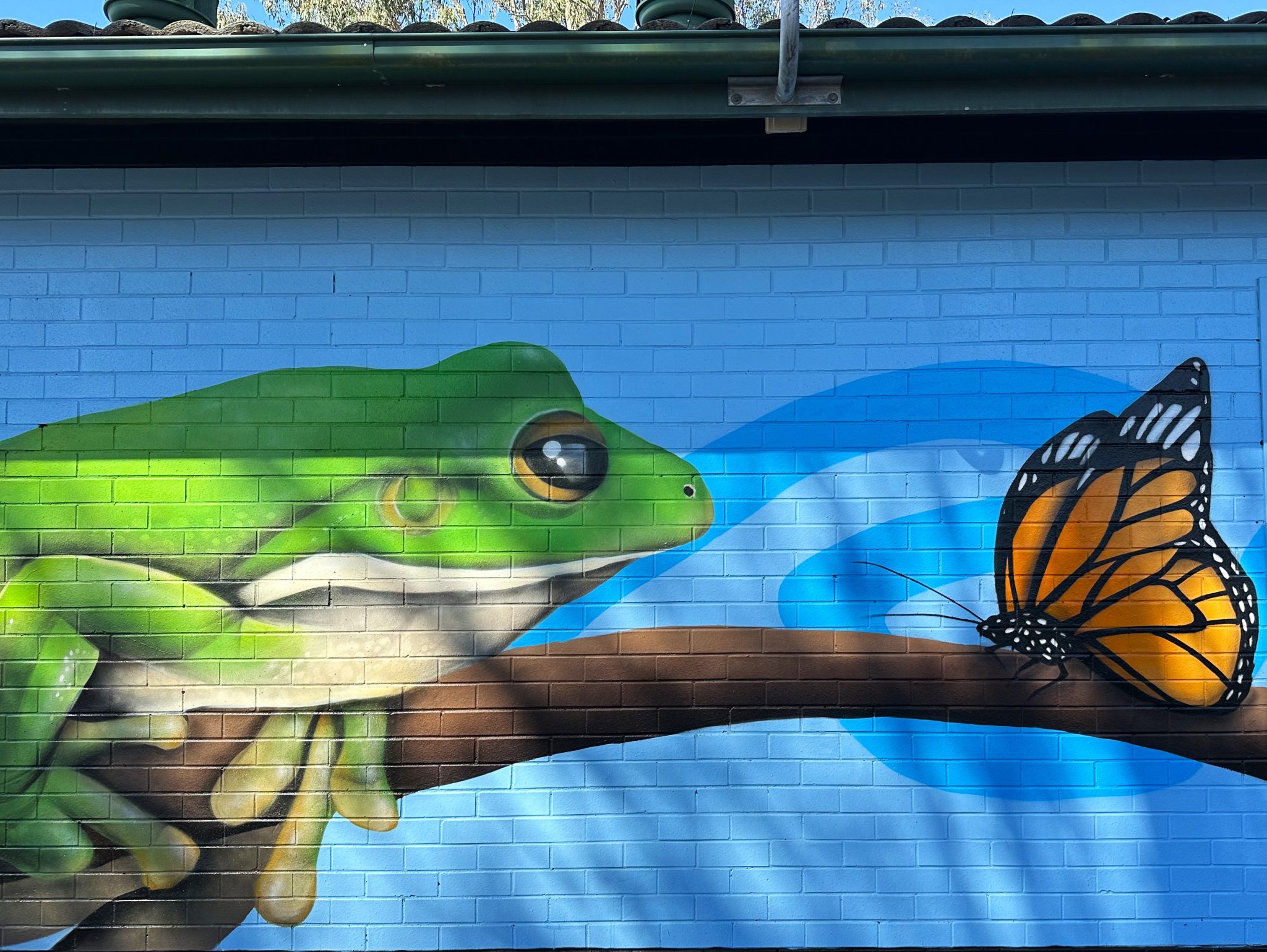 Green tree frog and native butterfly featured on Unitywaters newly ...